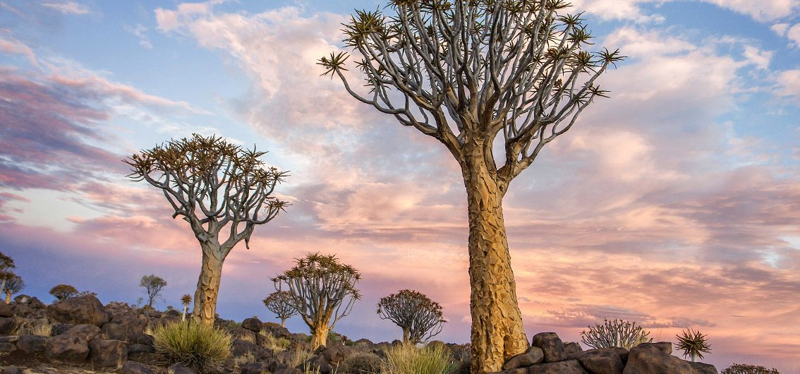 Im African Explorer von Kapstadt nach Namibia - Juwel der Wüste - Die ...